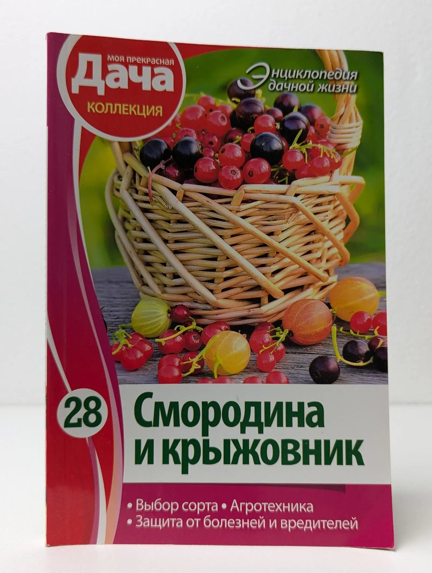 Смородина и крыжовник Стрельникова Галина 2018