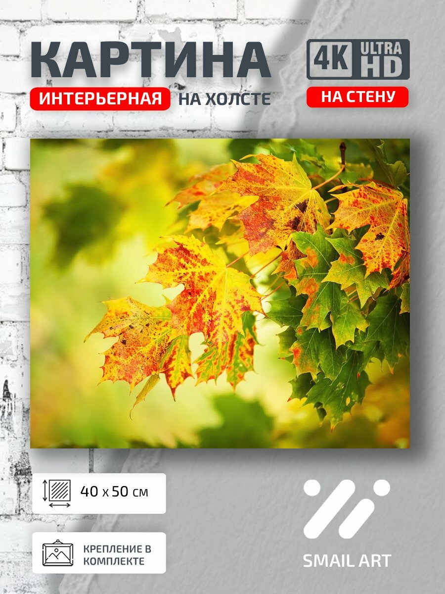 Картина на холсте интерьерная 40 на 50 на стену Осенние Landscape для кабинета пейзаж декор