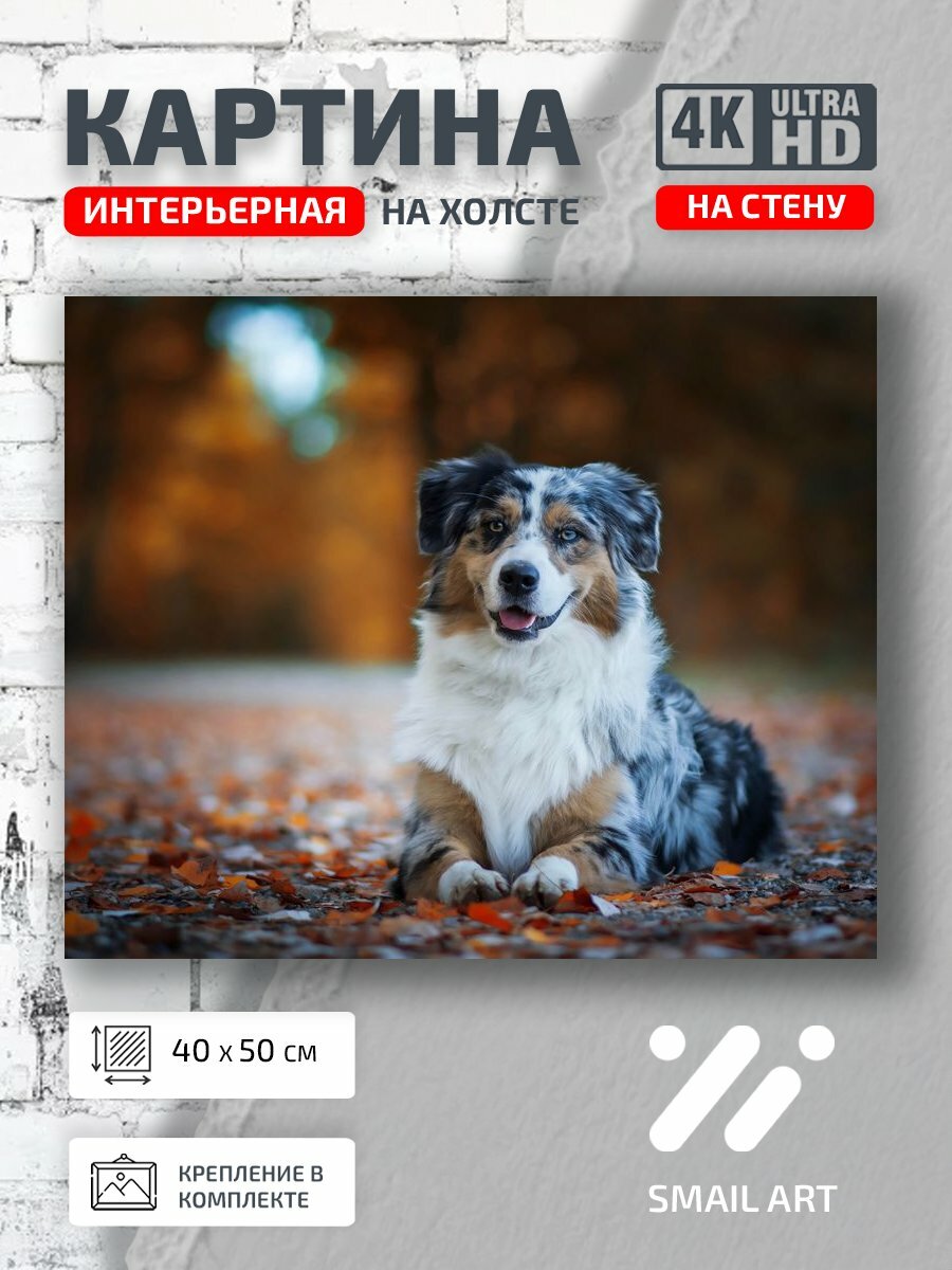 Картина на холсте интерьерная 40 на 50 на стену Парк Animal для детской animal style декор