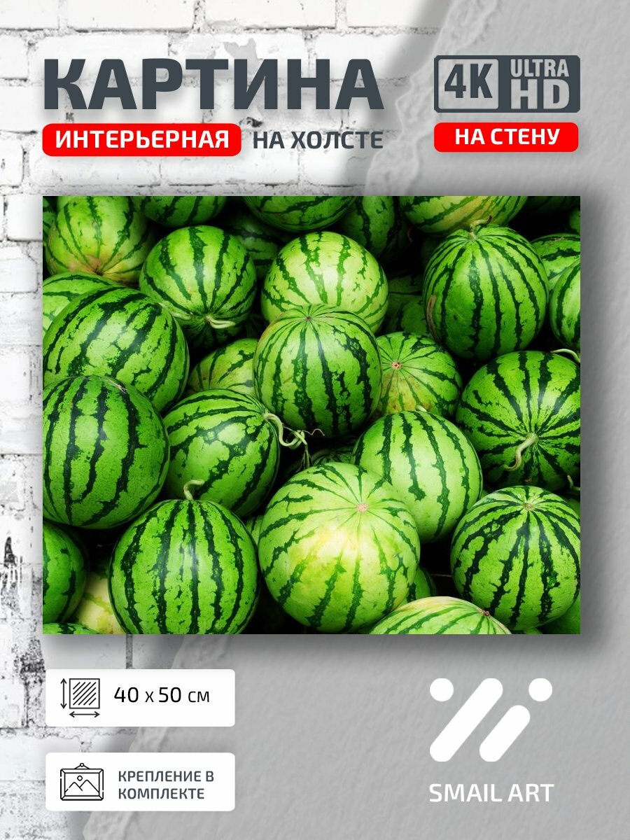 Картина на холсте интерьерная 40 на 50 на стену Арбузы Landscape для спальни пейзаж декор
