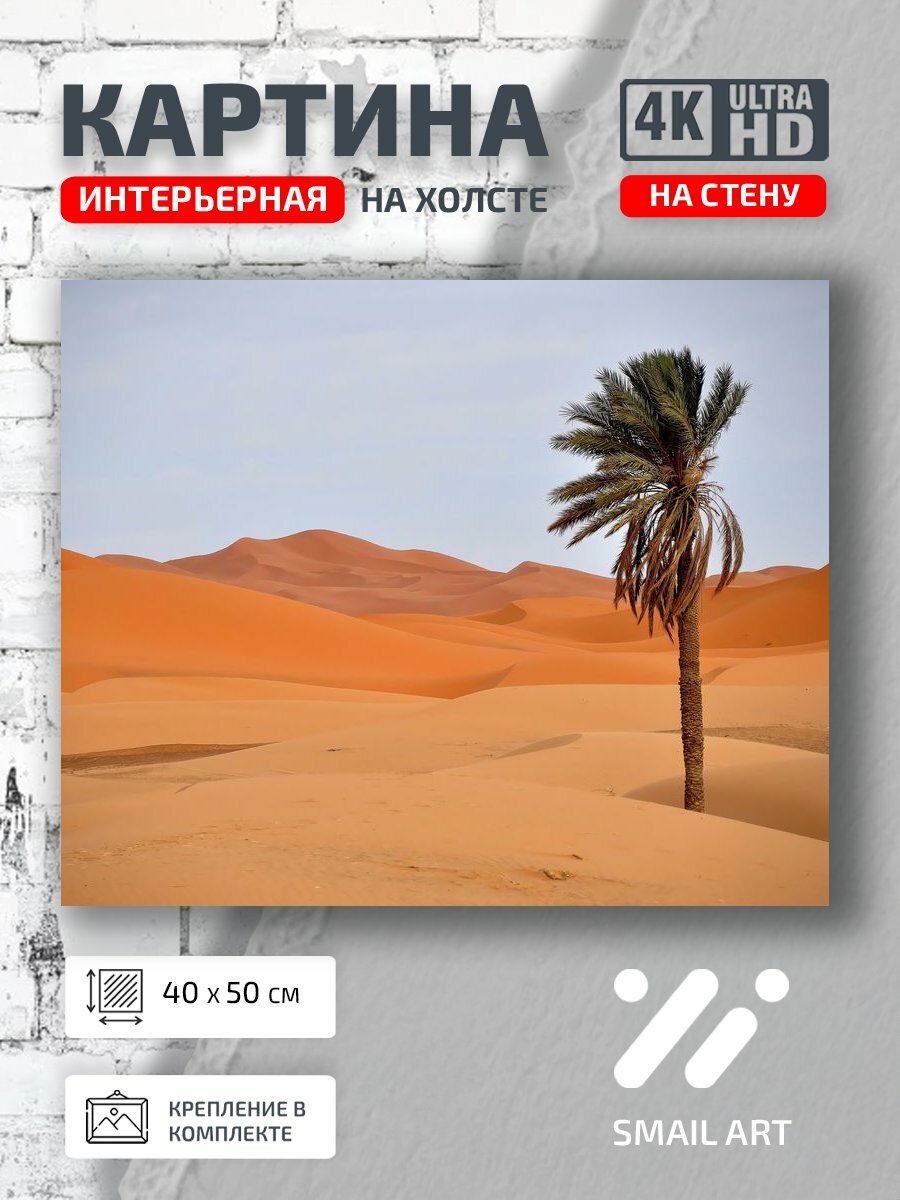 Картина на холсте интерьерная 40 на 50 на стену Пальма Landscape для кабинета пейзаж декор
