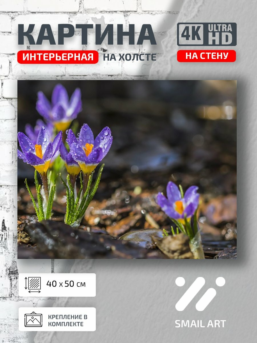 Картина на холсте интерьерная 40 на 50 на стену Капли Macro для кабинета макро интерьер