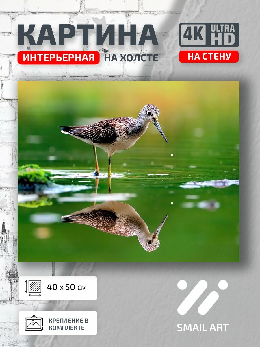 Картина на холсте интерьерная 40 на 50 на стену Птицы Landscape для гостиной пейзаж декор