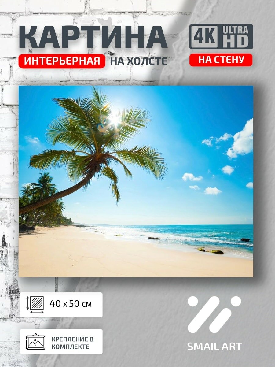 Картина на холсте интерьерная 40 на 50 на стену Природа Тропики для гостиной пейзаж