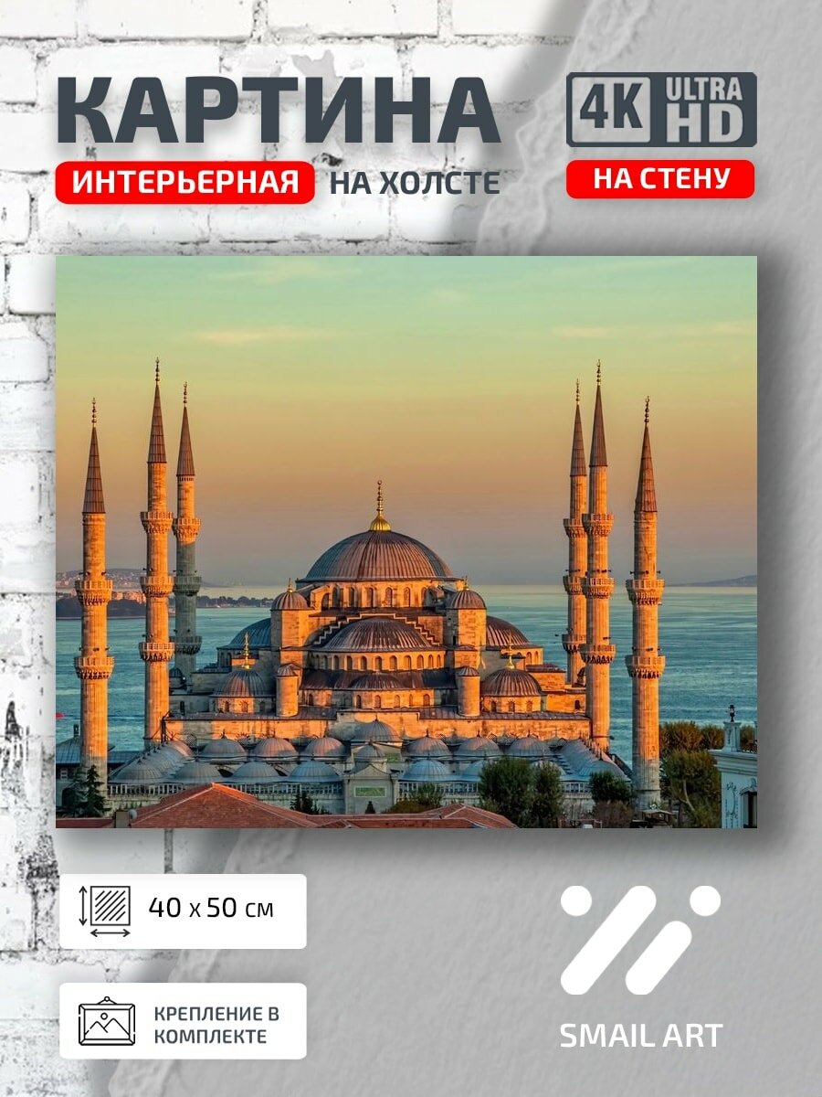 Картина на холсте интерьерная 40 на 50 на стену Турция Стамбул для гостиной атмосфера