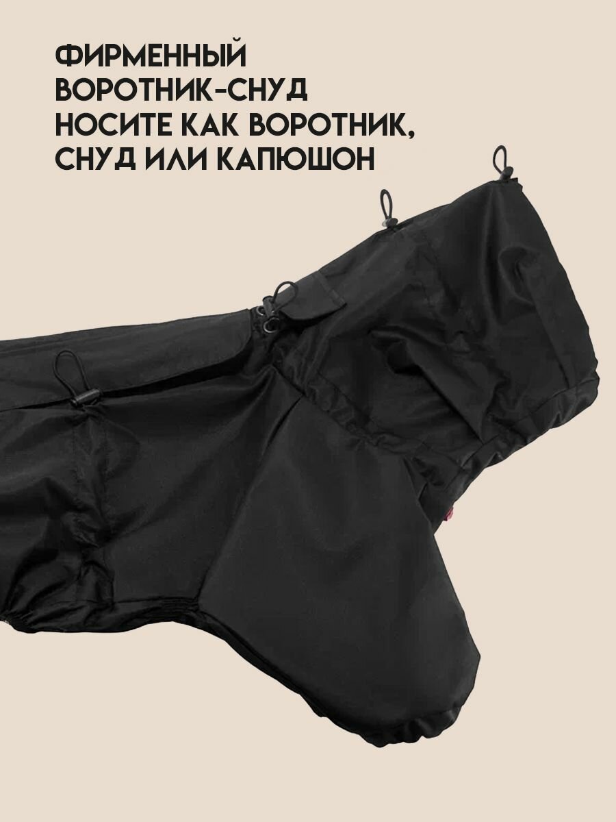 Одежда для животных — фото 1