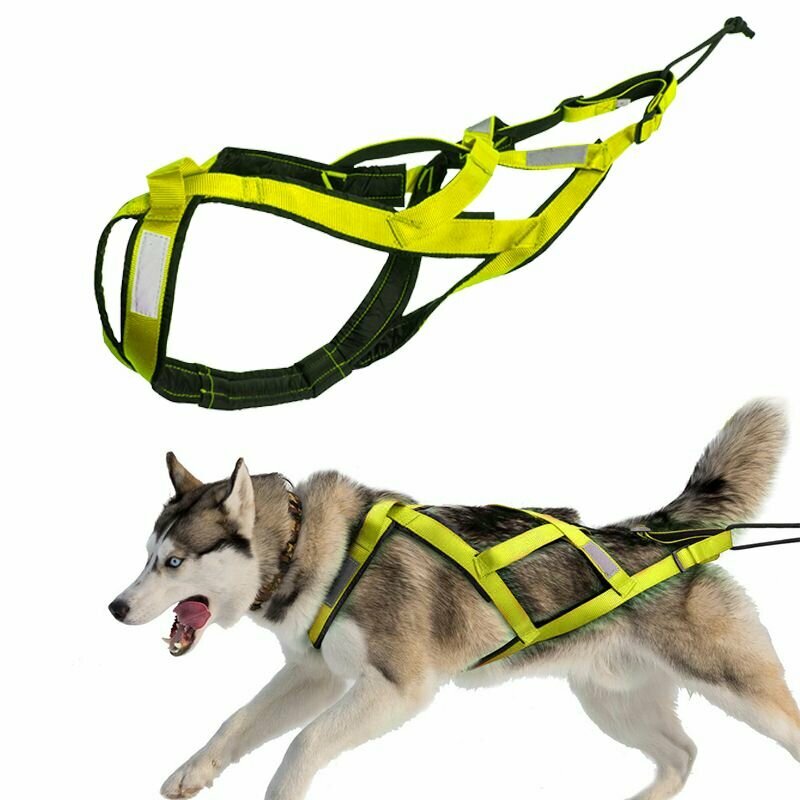 Большой нагрудный ремень для собачьих упряжек на открытом воздухе, подходит для катания на собачьих упряжках