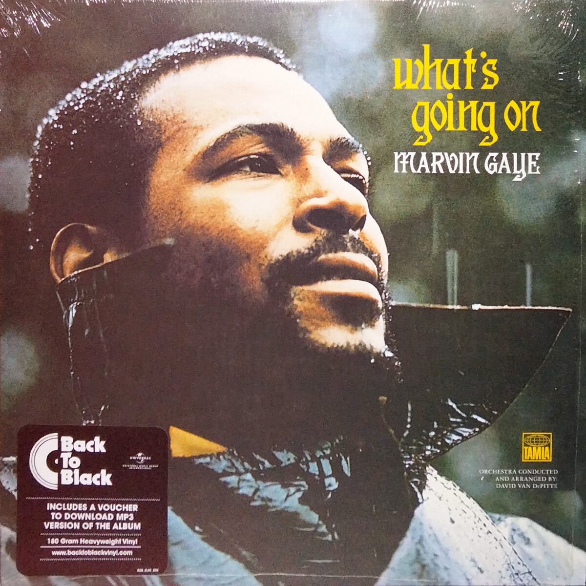 Виниловая пластинка Marvin Gaye — What's Going On (LP)