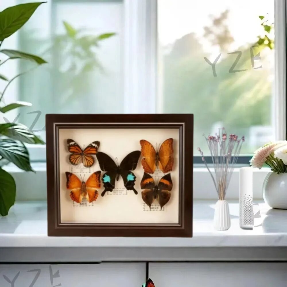 Коллекция настоящих бабочек в рамке под стеклом, 5 шт, настольная подставка, энтомологический декор для интерьера