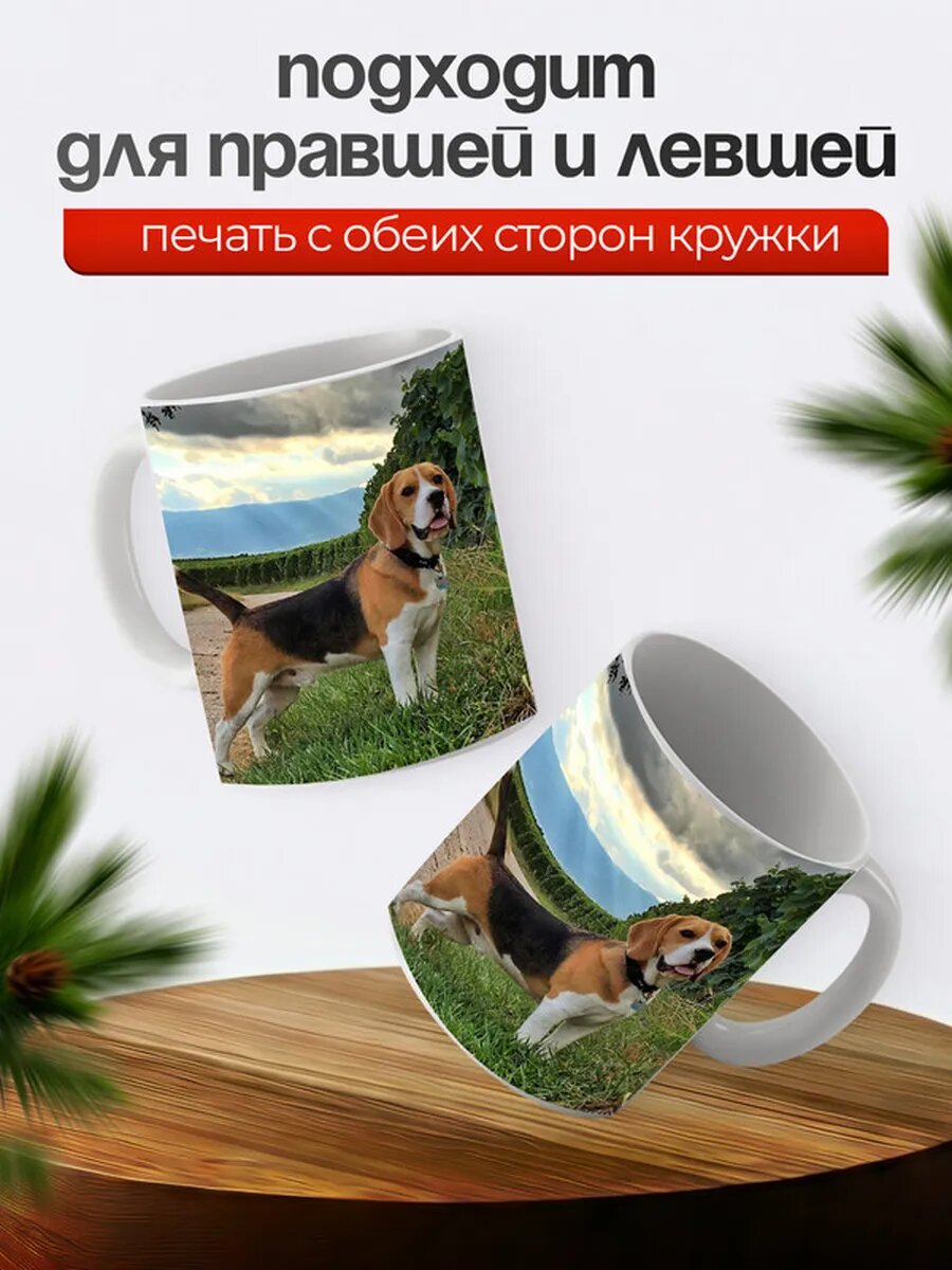 Кружка Бигль, — фото 1