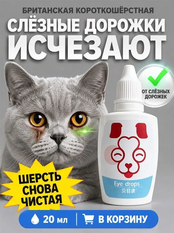 Осветление тёмных пятен у британских кошек
