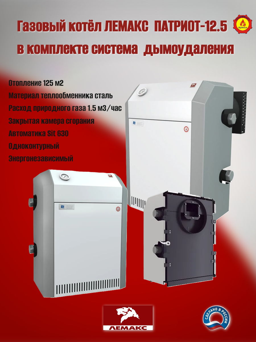 Котёл газовый Лемакс Патриот 12,5, парапетный, в комплекте с дымоходом.