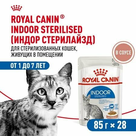 ROYAL CANIN INDOOR STERILISED набор 5 упаковок 28 шт по 85 г кусочки в соус, влажный корм для кастрированных и стерилизованных кошек и котов, от 1 до 7 лет, живущих в помещении