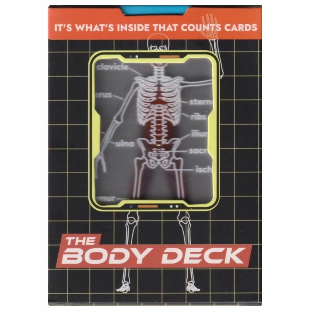 Анатомические карты скелета человека