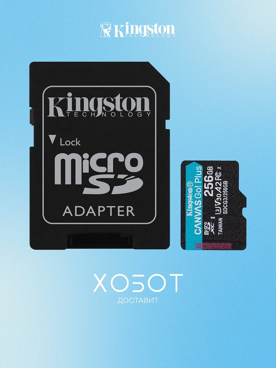 Карта памяти Kingston Canvas Go Plus G4 microSDXC 256 Гб (SDCG4/256GB)