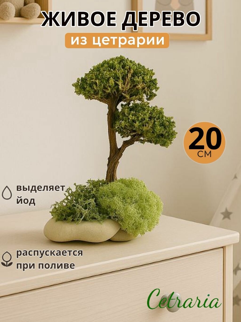 Настольное дерево Cetraria "Бонсай на полянке", 20см, ручная работа