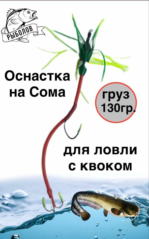 Оснастка на сома