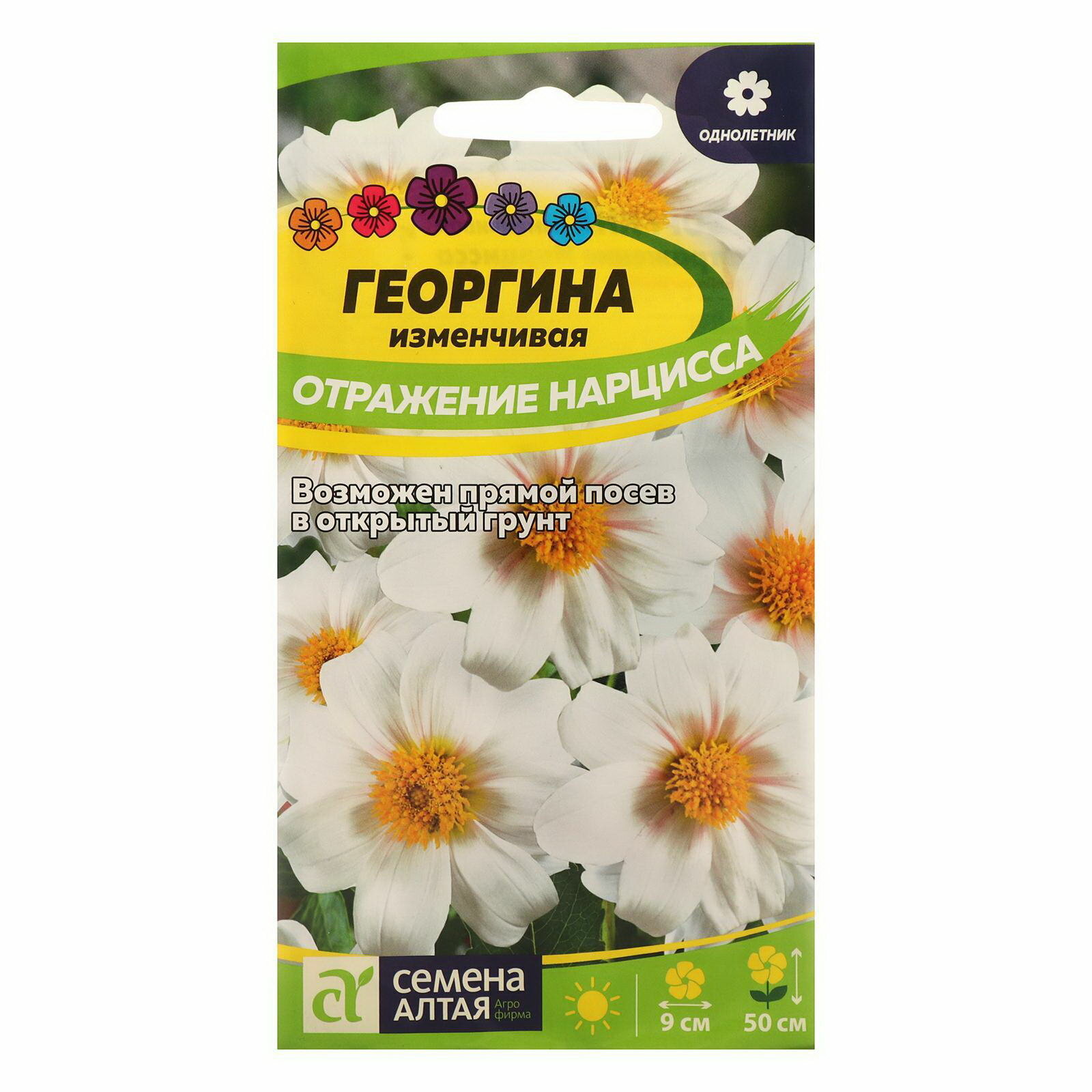 Семена цветов Георгина "Отражение Нарцисса", Сем. Алт, ц/п, 0.2 г