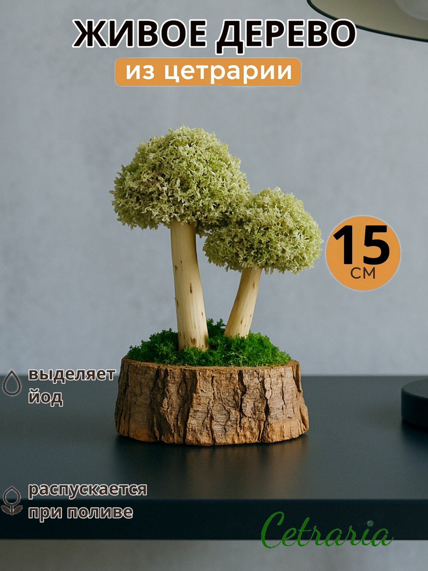 Статуэтка "Деревце удачи" с кронами цетрарии