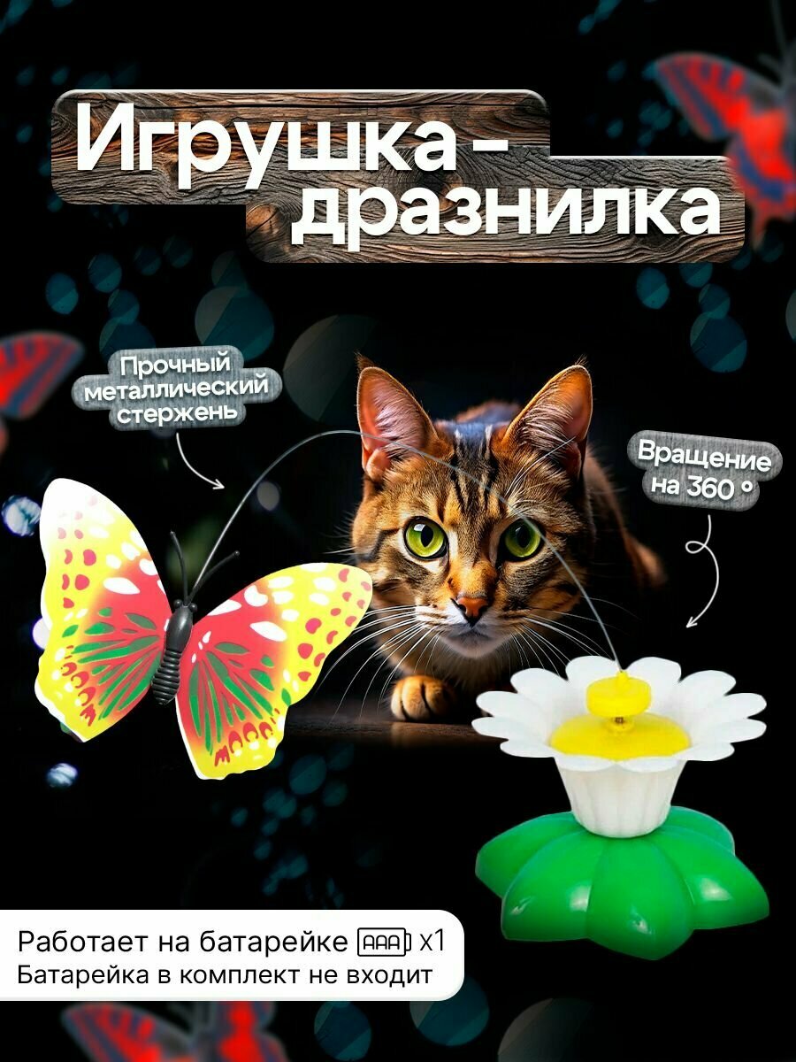 Игрушка для животных