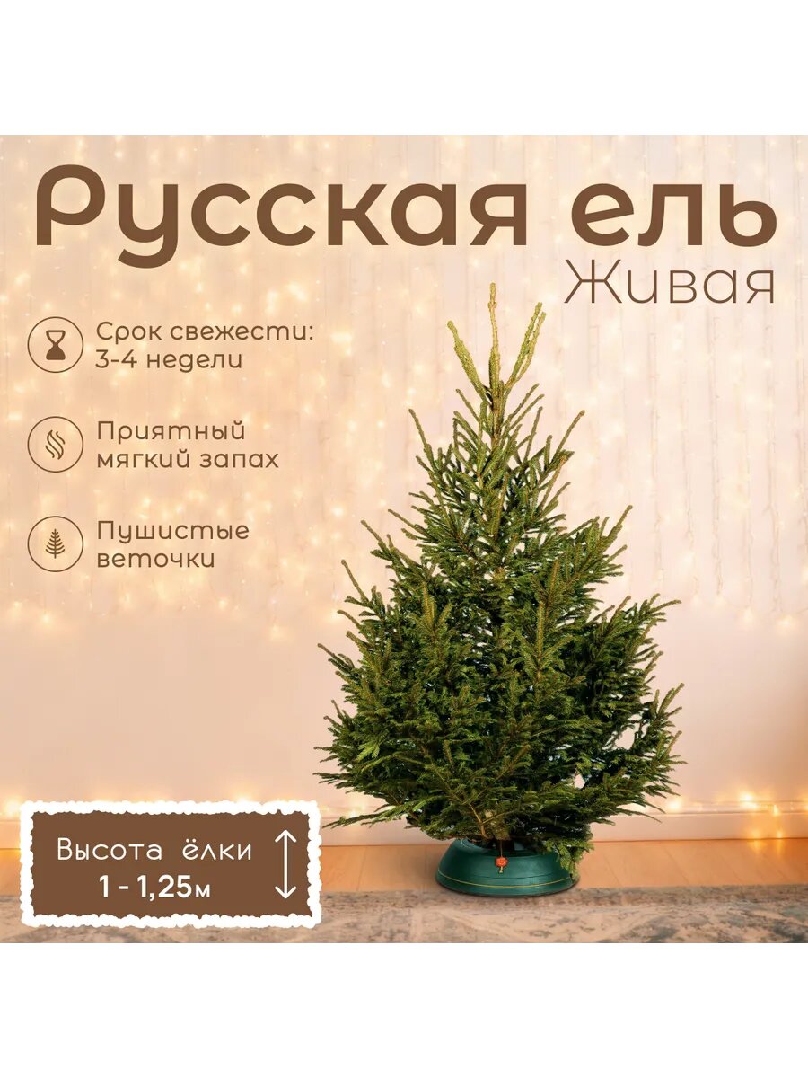 Новогодняя ёлка живая, Русская ель ELKI SALE 1 - 1,25 м