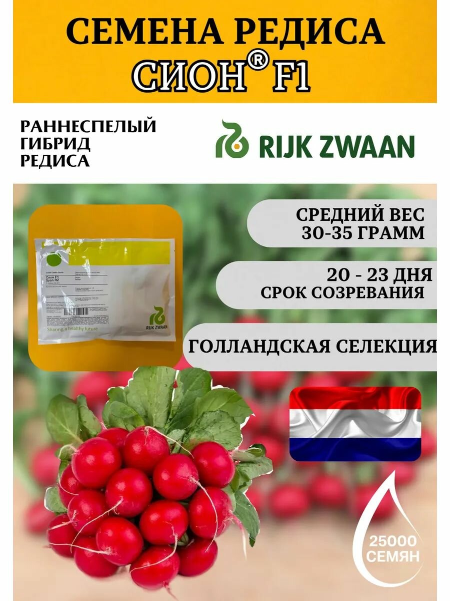 Семена редиса RIJK ZWAAN Сион F1, гибрид для открытого грунта, 25 000 семян