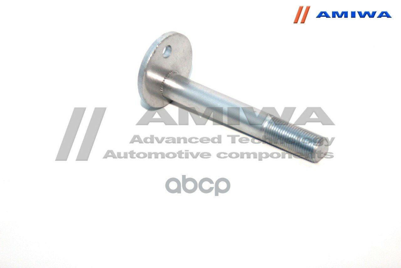 Болт с эксцентриком Amiwa арт. 01-35-140