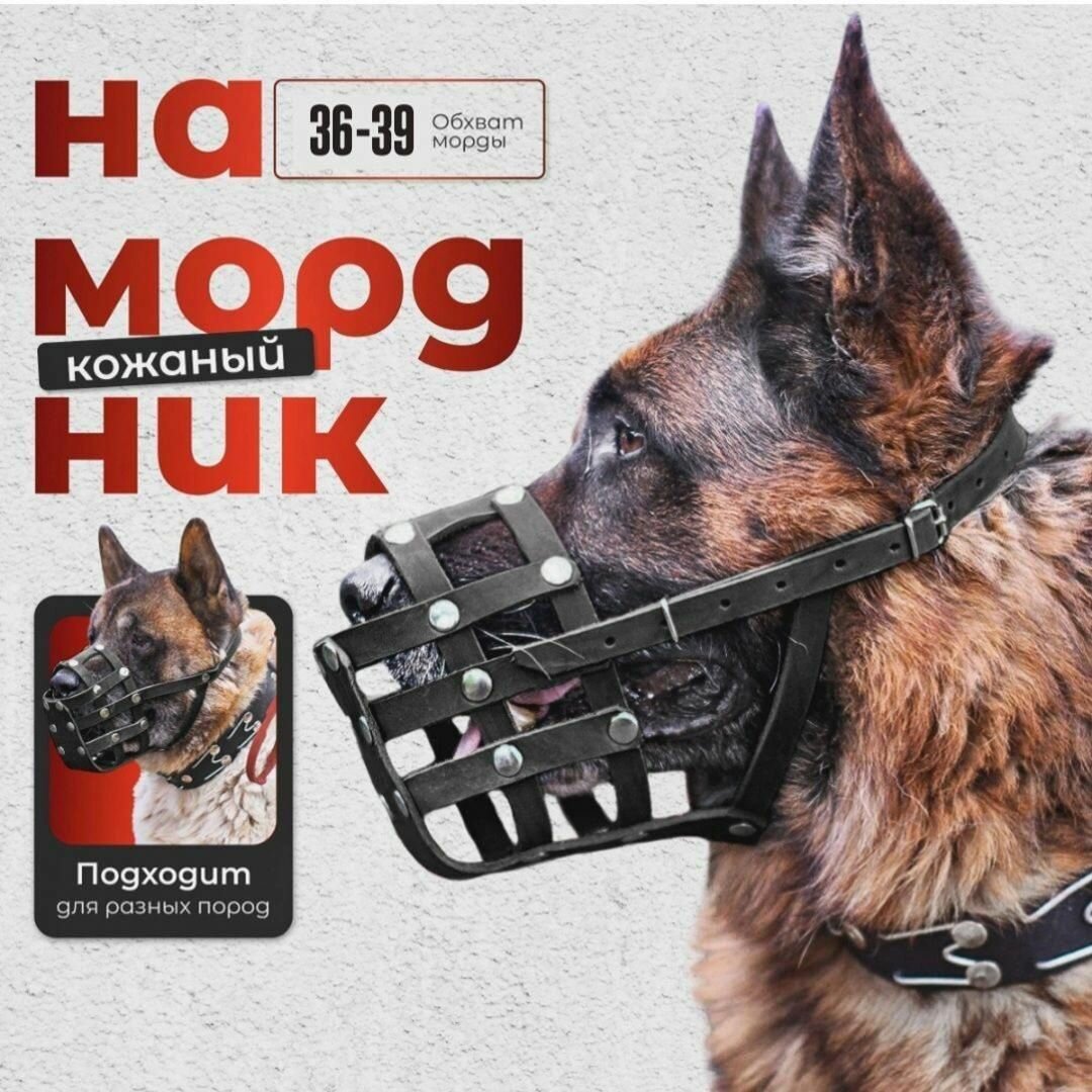 Намордник