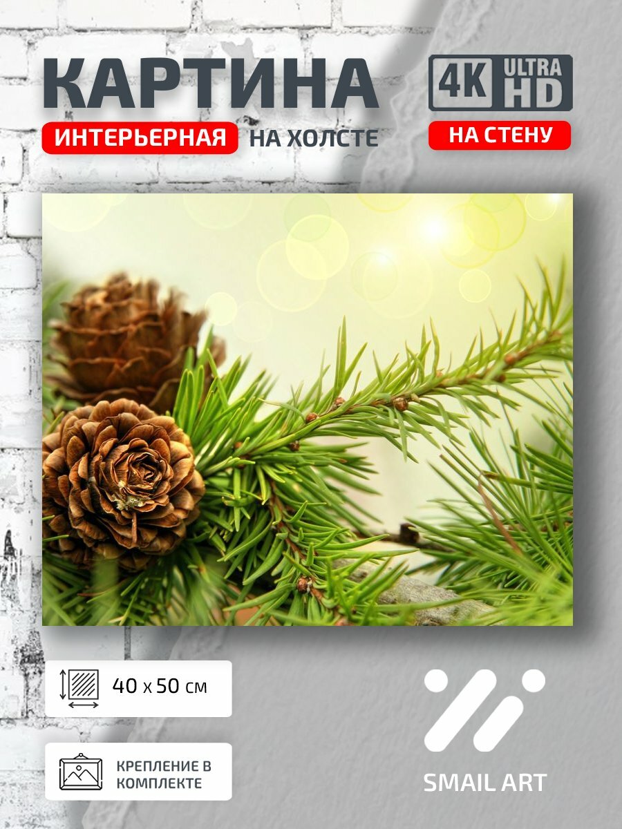 Картина на холсте интерьерная 40 на 50 на стену Шишки Landscape для кафе пейзаж интерьер