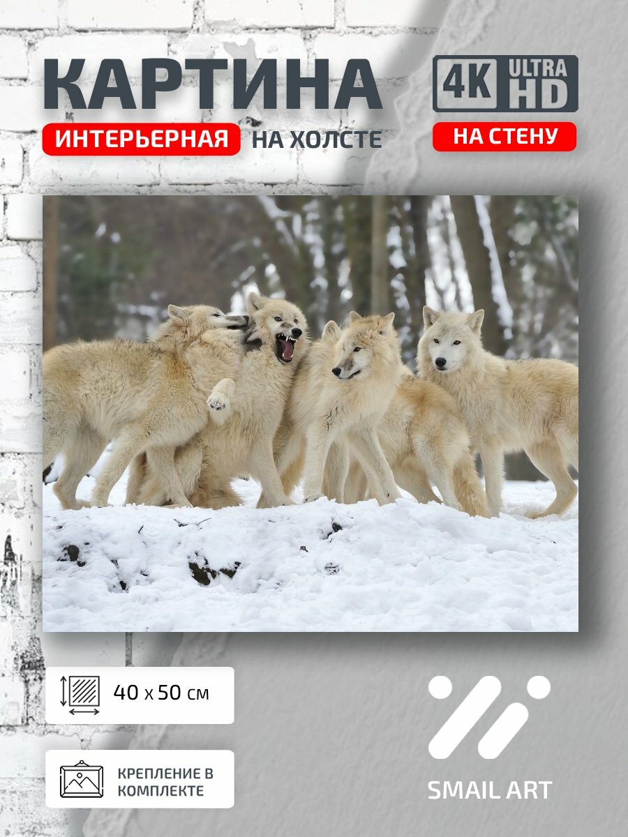 Картина на холсте интерьерная 40 на 50 на стену Волков Animal для гостиной animal style