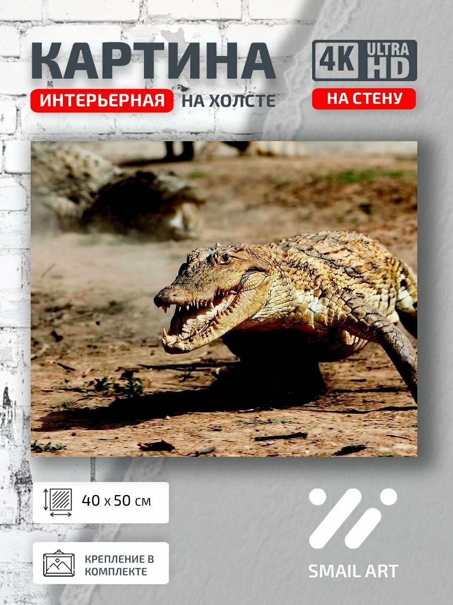 Картина на холсте интерьерная 40 на 50 на стену Охотой Mood для кабинета атмосфера интерьер