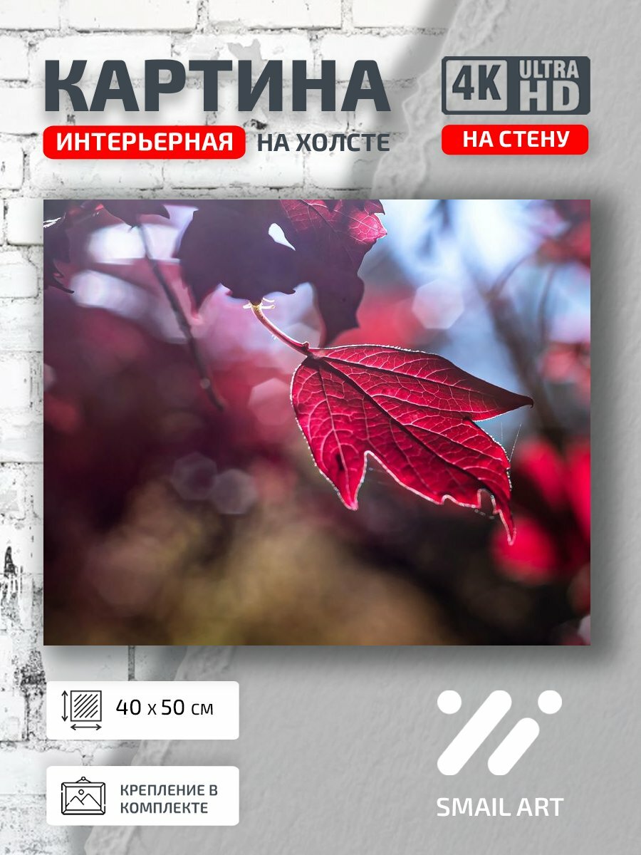 Картина на холсте интерьерная 40 на 50 на стену Бордовый Mood для офиса атмосфера интерьер