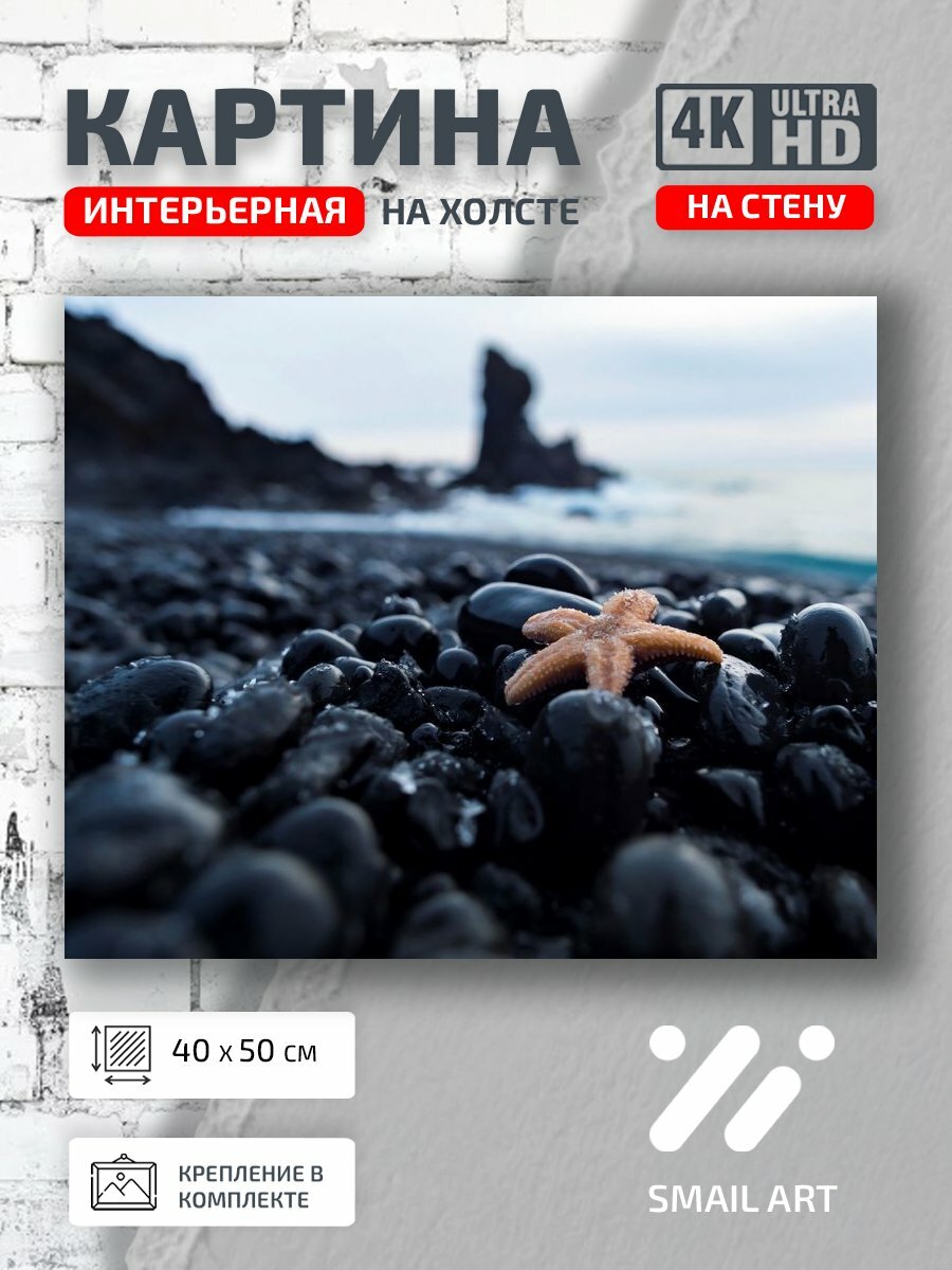 Картина на холсте интерьерная 40 на 50 на стену Звезда Space для кабинета космос интерьер