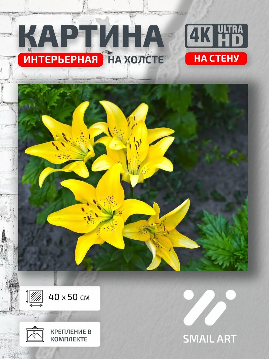 Картина на холсте интерьерная 40 на 50 на стену Лилия Landscape для кабинета пейзаж декор