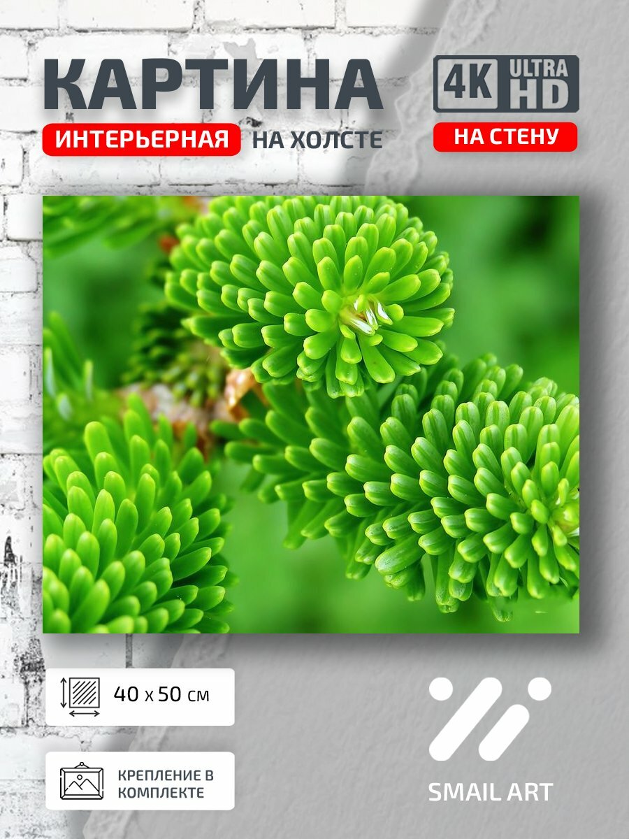 Картина на холсте интерьерная 40 на 50 на стену Фразера Mood для спальни атмосфера интерьер