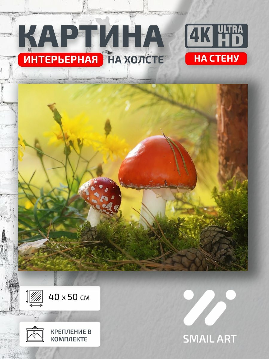 Картина на холсте интерьерная 40 на 50 на стену Мох Landscape для офиса пейзаж интерьер