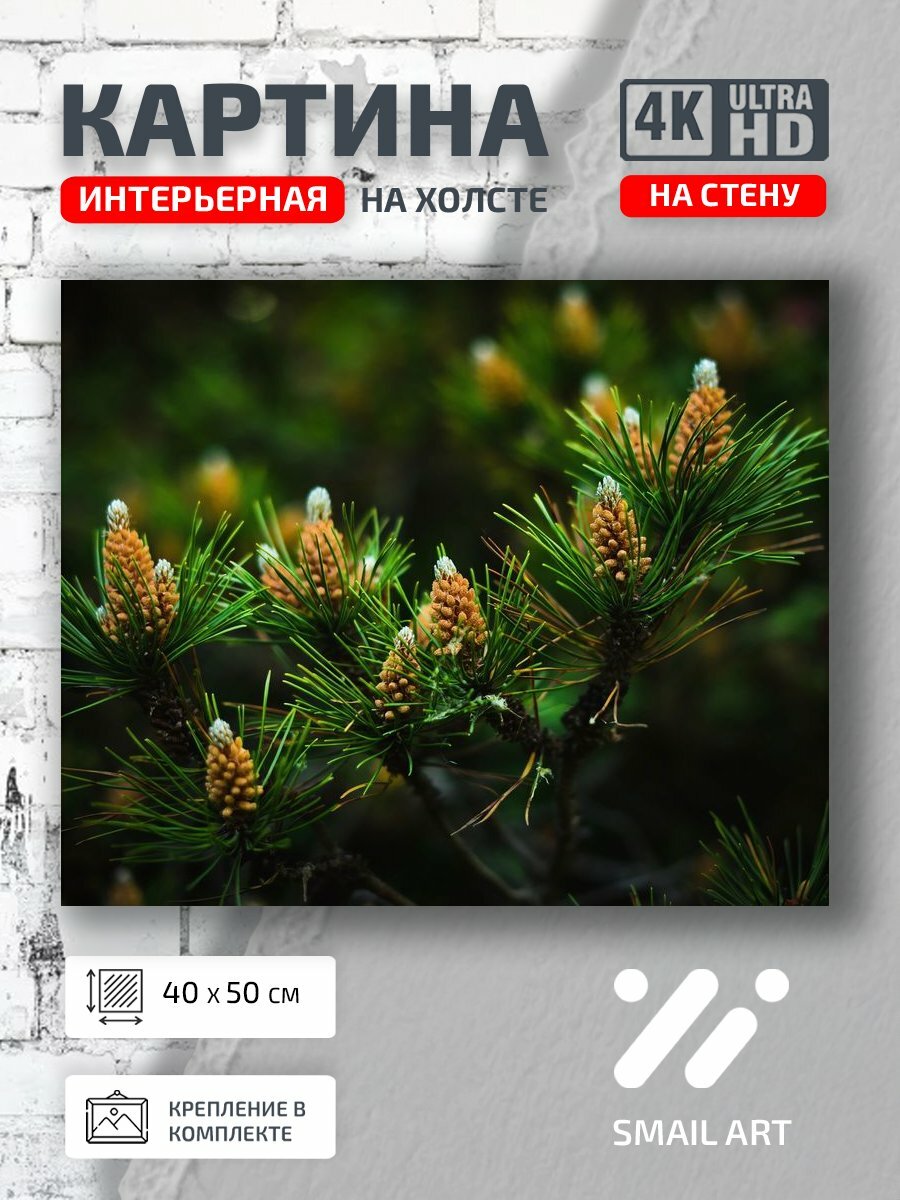 Картина на холсте интерьерная 40 на 50 на стену Зелёная Landscape для спальни пейзаж декор