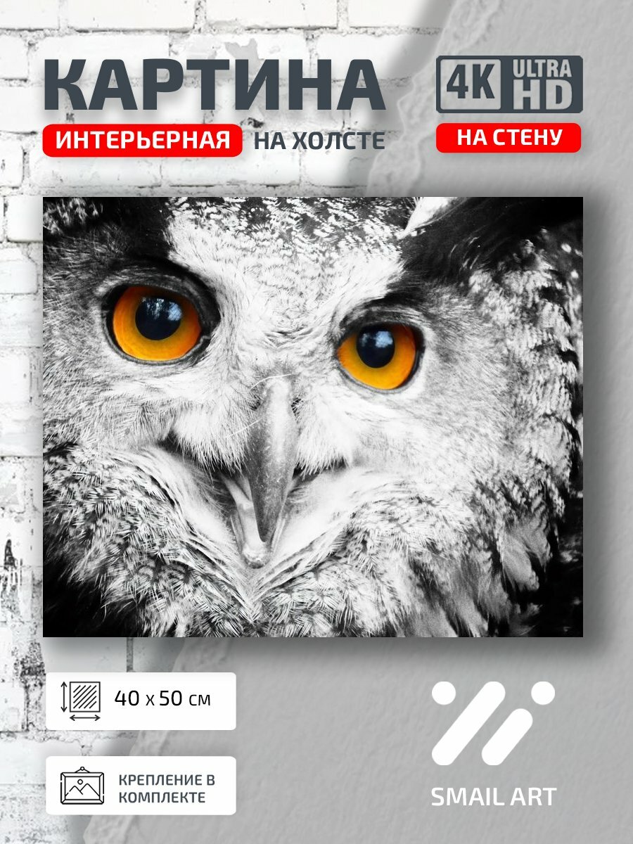 Картина на холсте интерьерная 40 на 50 на стену Филин Mood для спальни атмосфера интерьер