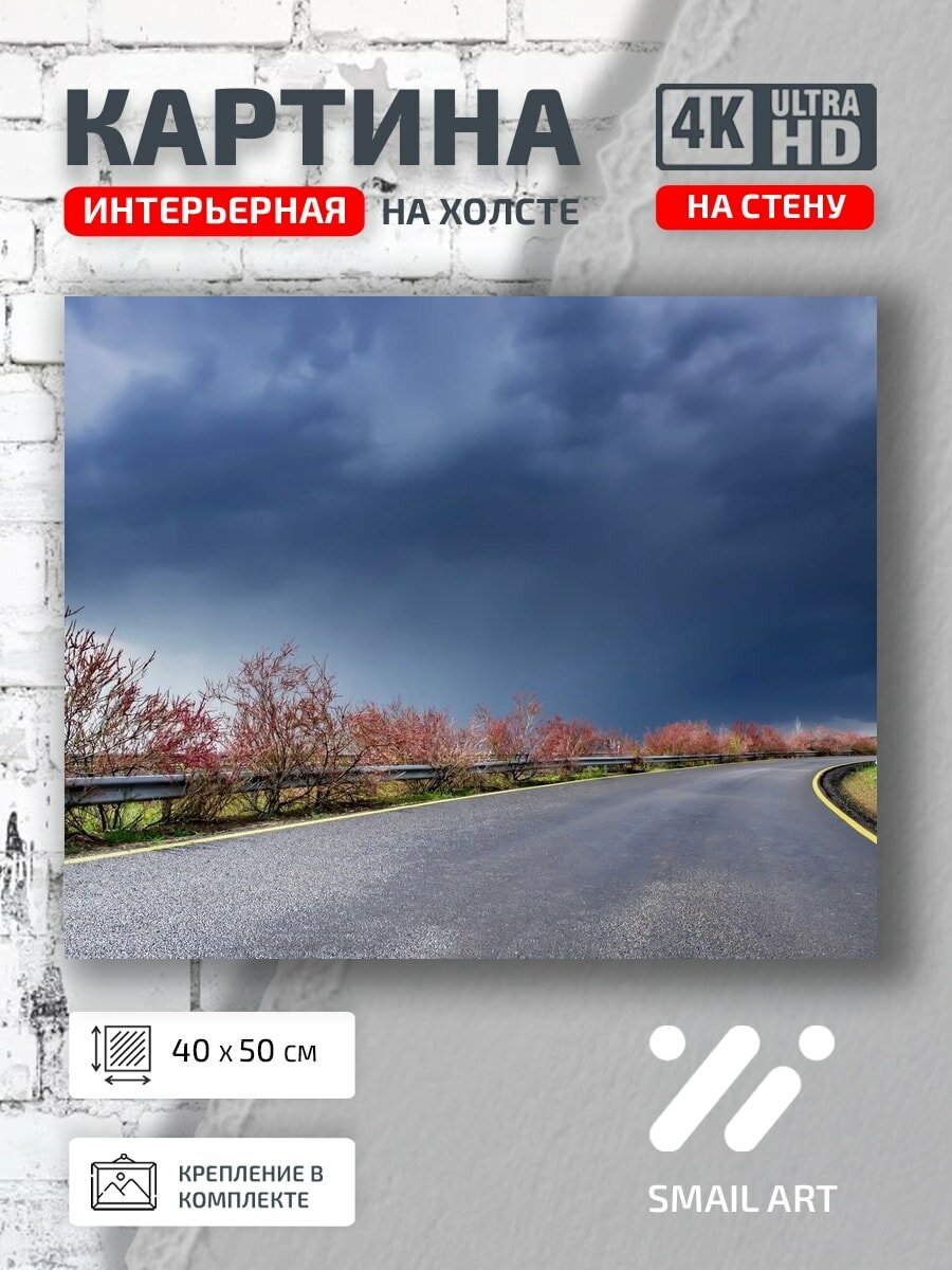 Картина на холсте интерьерная 40 на 50 на стену Природа дорога для кафе пейзаж
