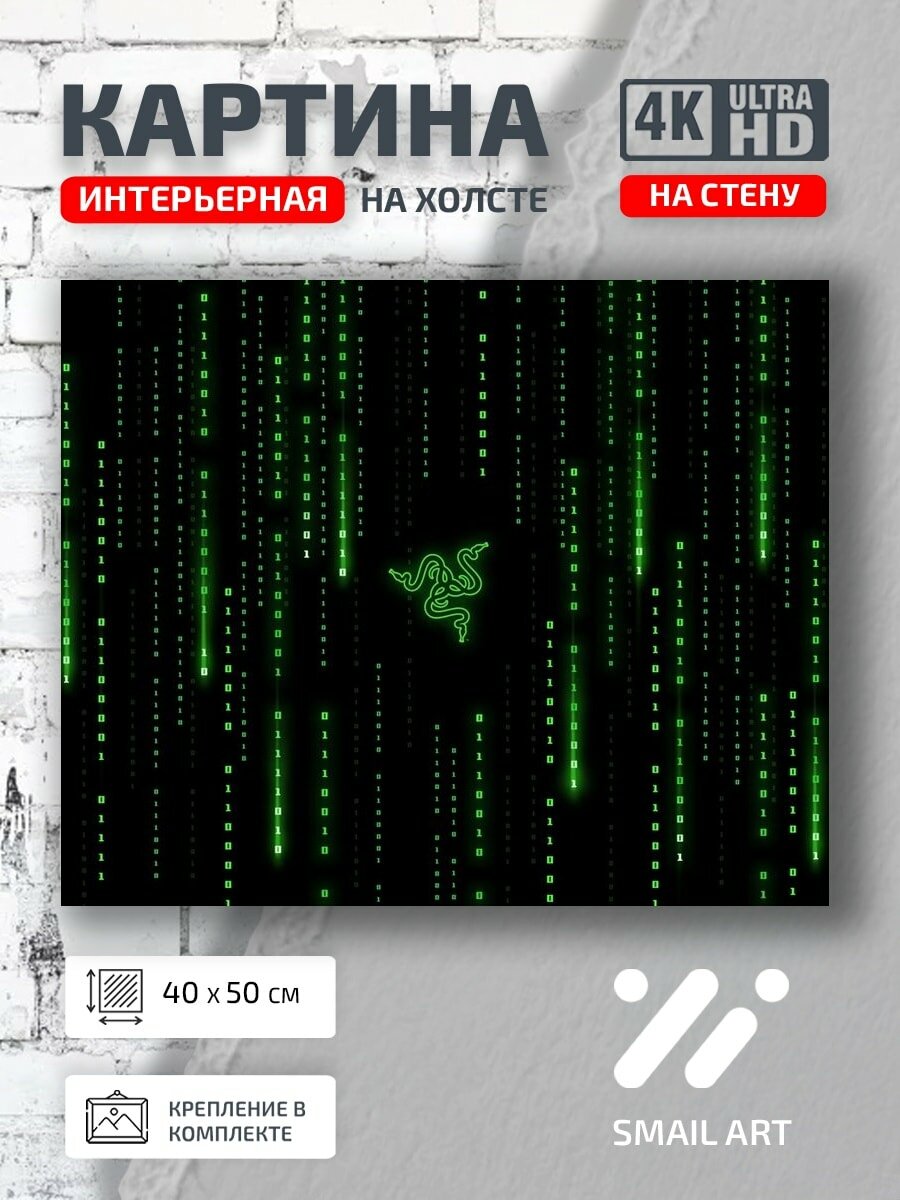 Картина на холсте интерьерная 40 на 50 на стену Razer Matrix для спальни атмосфера