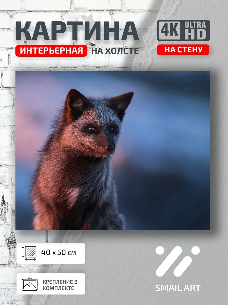 Картина на холсте интерьерная 40 на 50 на стену Животные Лиса для офиса атмосфера