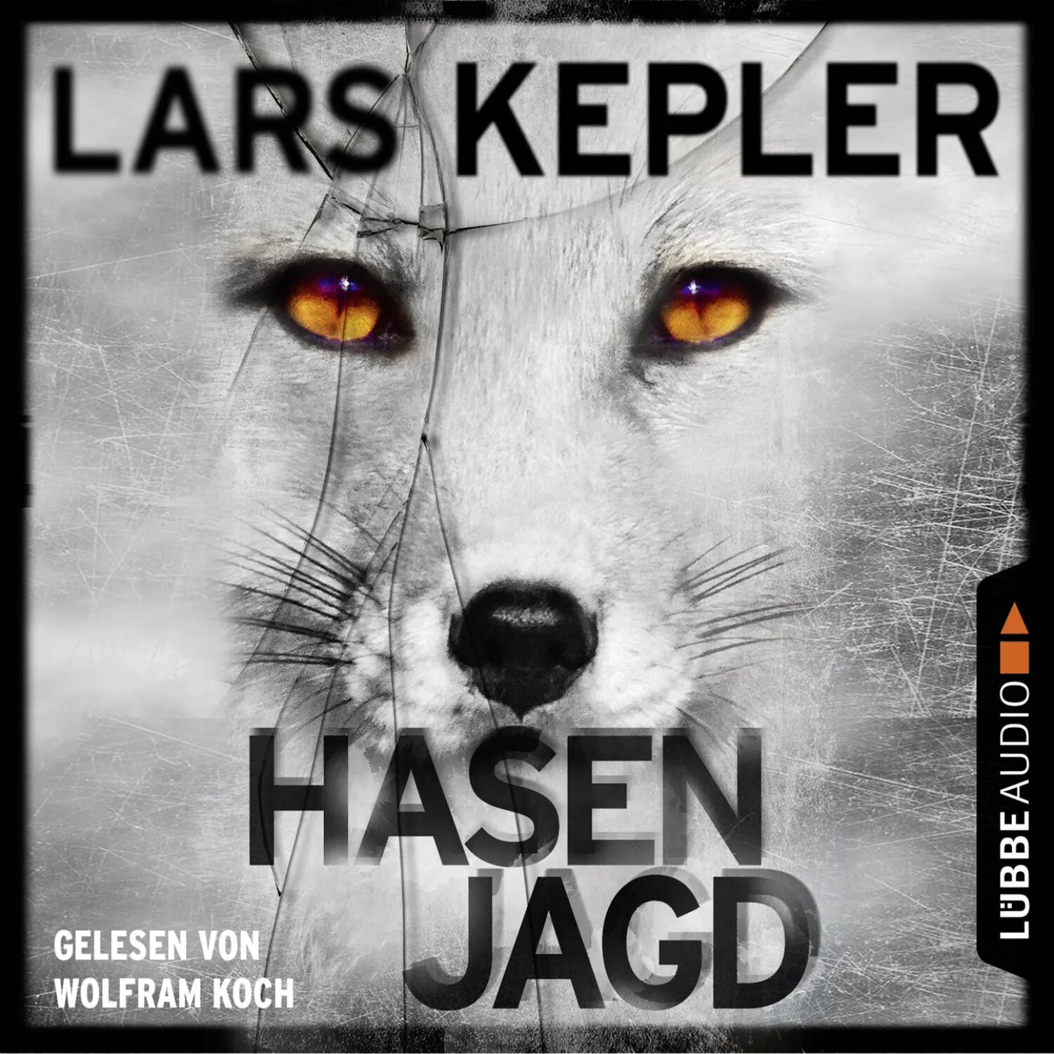 Hasenjagd - Joona Linna, Teil 6 (Gekürzt) [Аудиокнига]