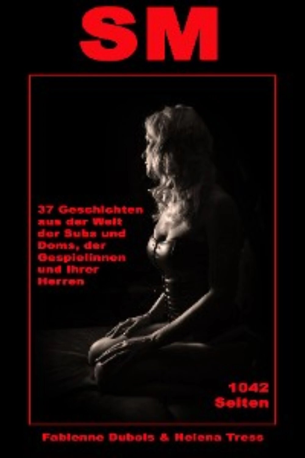 SM - 37 Geschichten aus der Welt der Subs und Doms, der Gespielinnen und ihrer Herren [Цифровая книга]