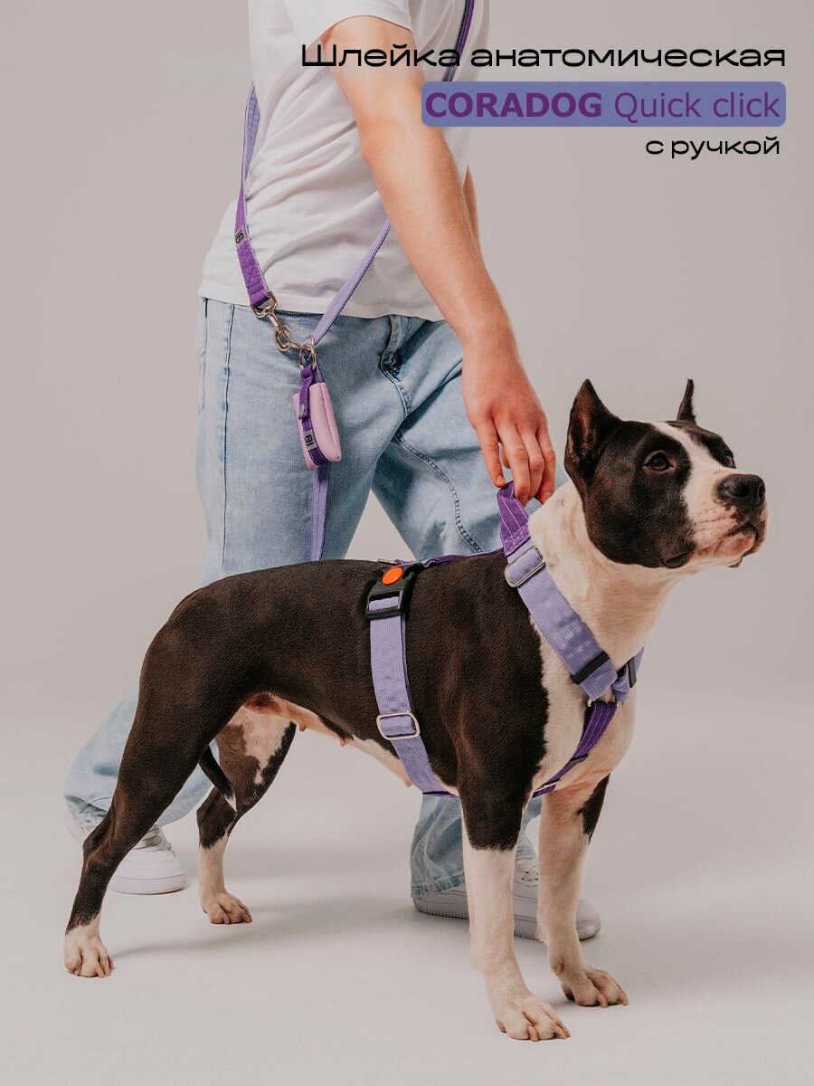 Шлейка широкая с ручкой прогулочная анатомическая для средних и крупных пород собак, CORADOG Quick click, размер L, цвет сиреневый, фиолетовый