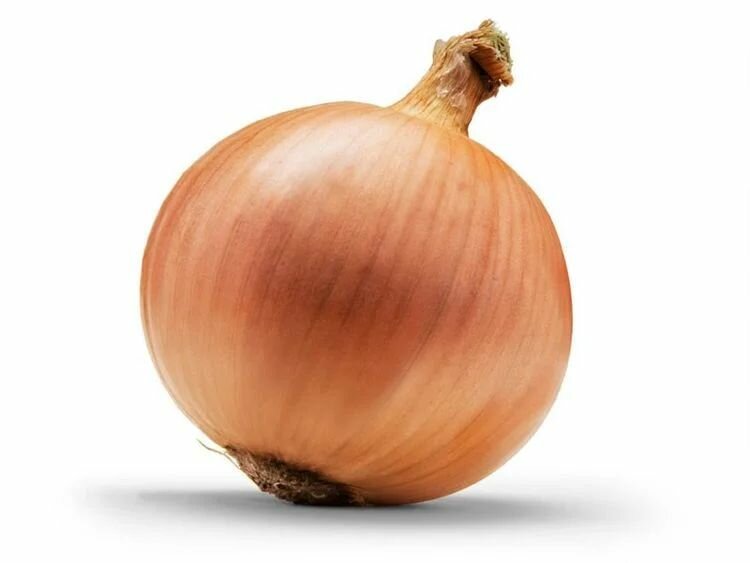 Коллекционные семена лука Барито F1, 2 пачки в комплекте