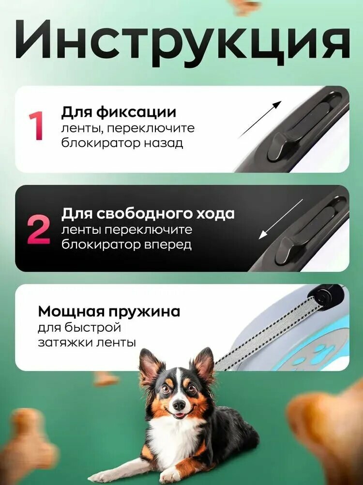 Поводок — фото 1
