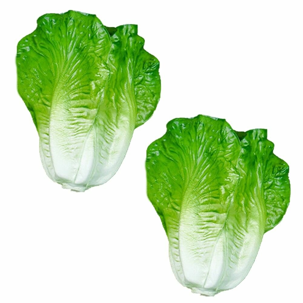 Искусственные овощи