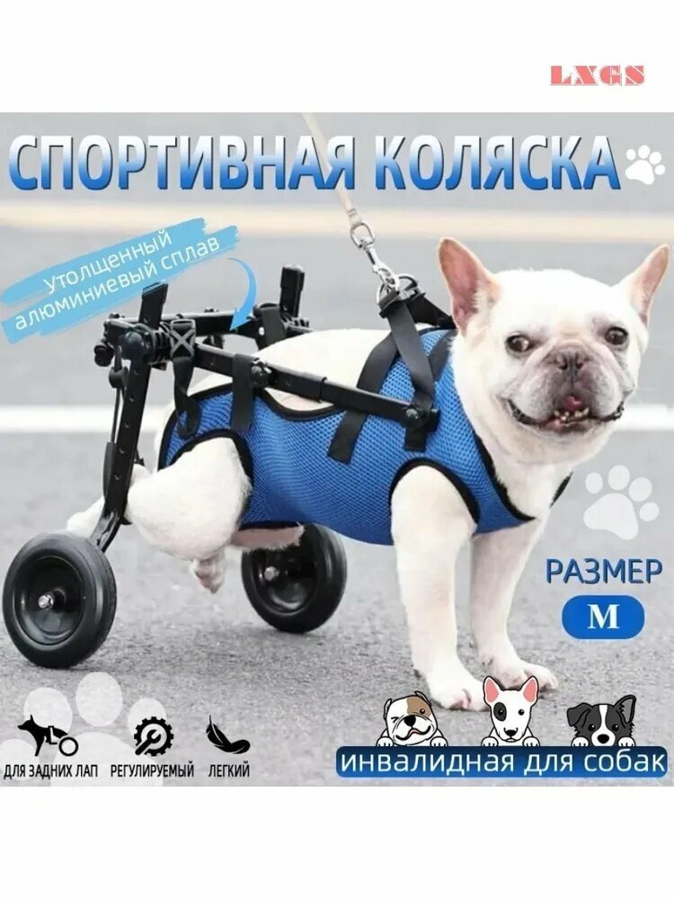Инвалидная коляска для собак и кошек для задних лап, для мелких и средних пород, размер M, синий
