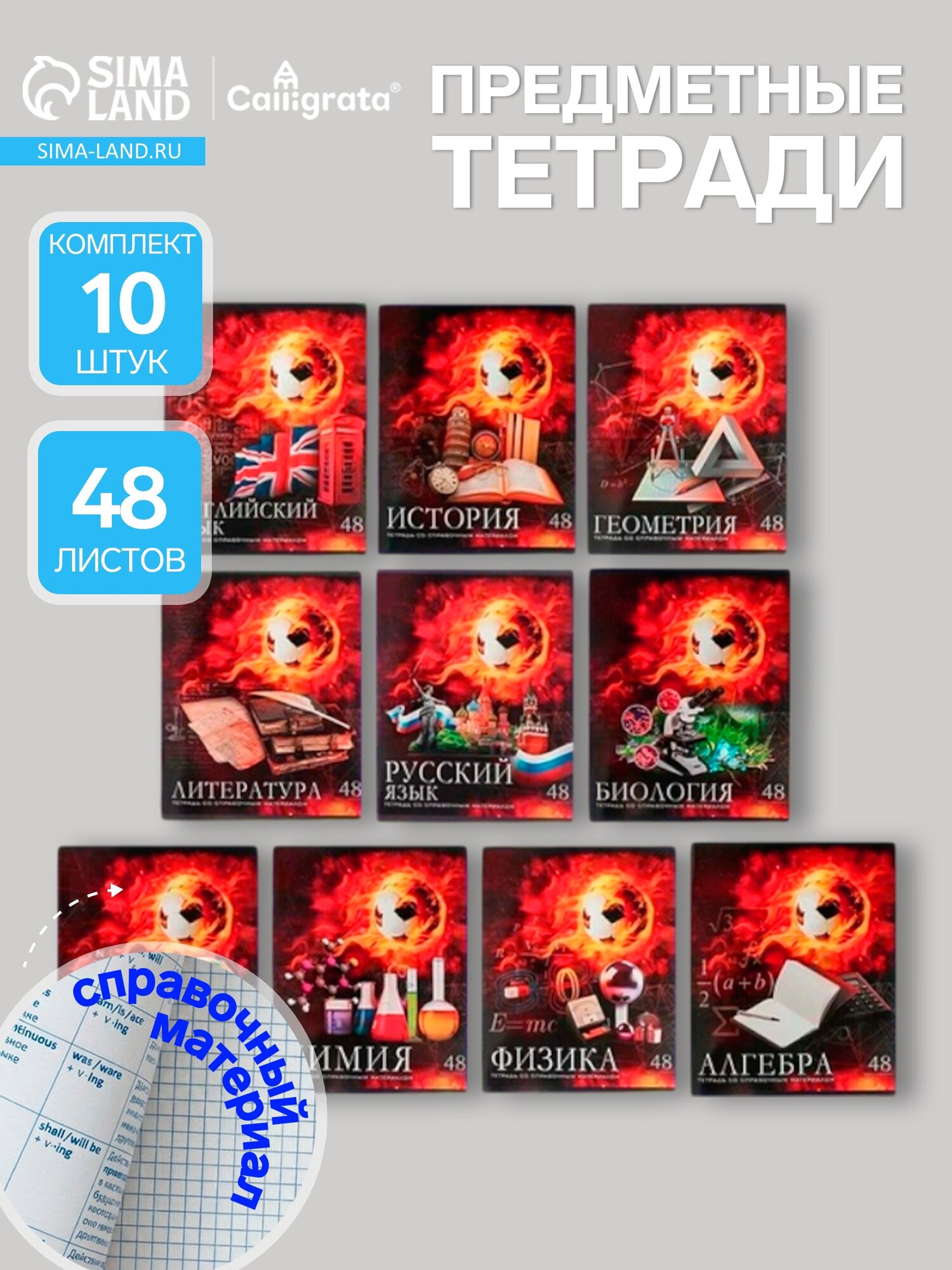 Набор предметных тетрадей Calligrata «Футбол», 10 предметов, 48 листов, со справочным материалом, обложка из мелованного картона, блок офсет