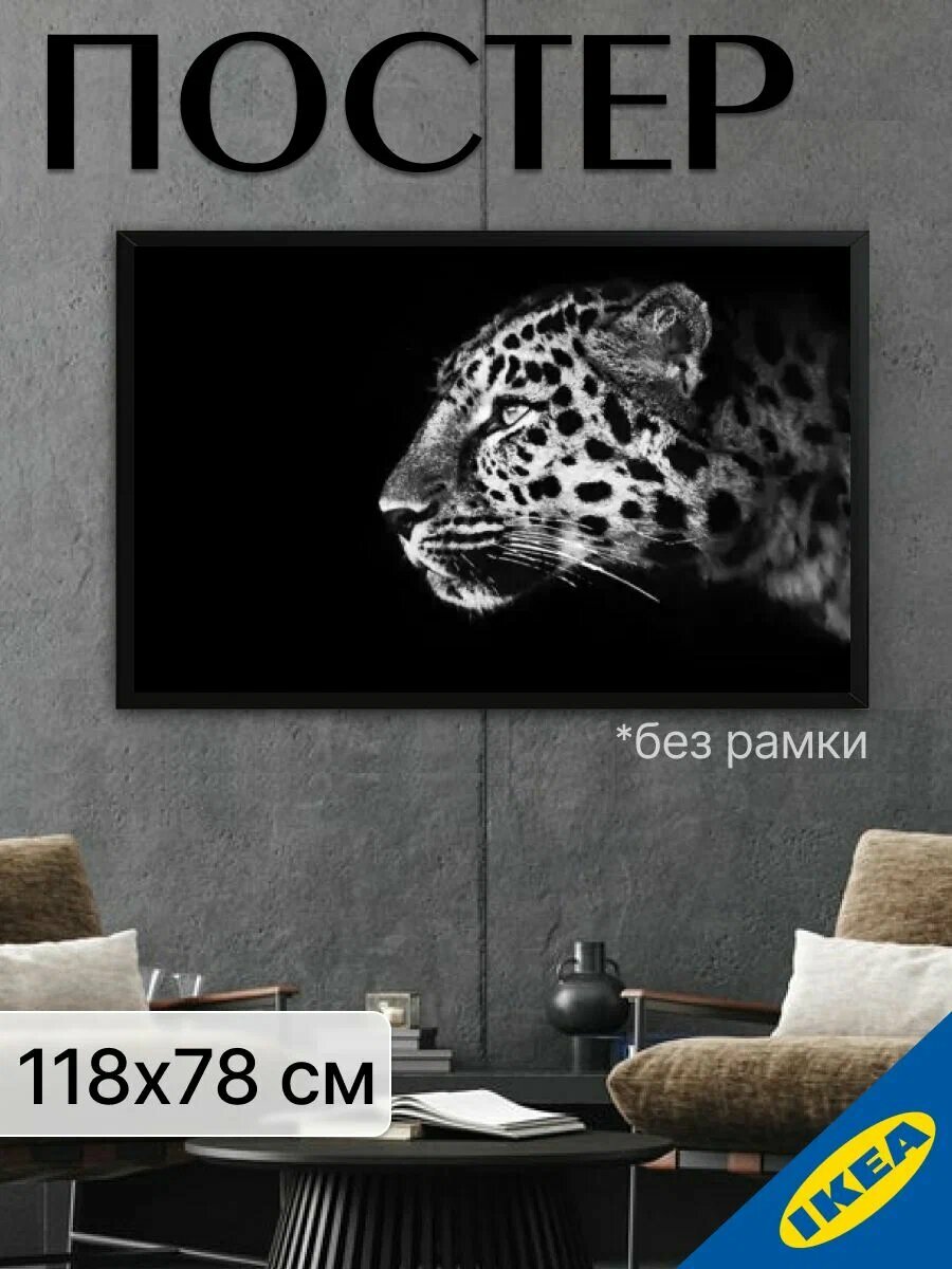 Постер Холст, Гепард 118×78 см, без рамы, IKEA BJÖRKSTA бьёркста